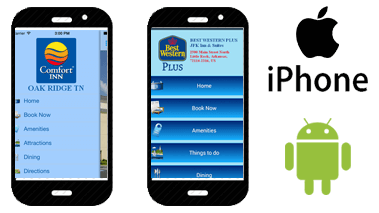 SEO Services | CGS Infotech Website Design Company